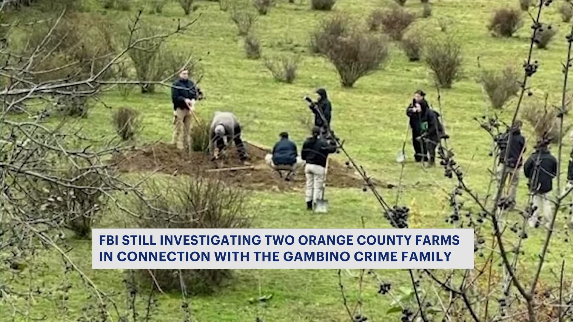 New images show FBI search for evidence in Gambino mob probe at Orange ...