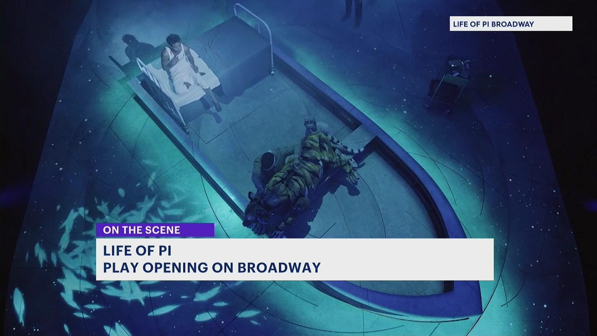 On The Scene: ‘Life of Pi’ story now adopted into a Broadway play
