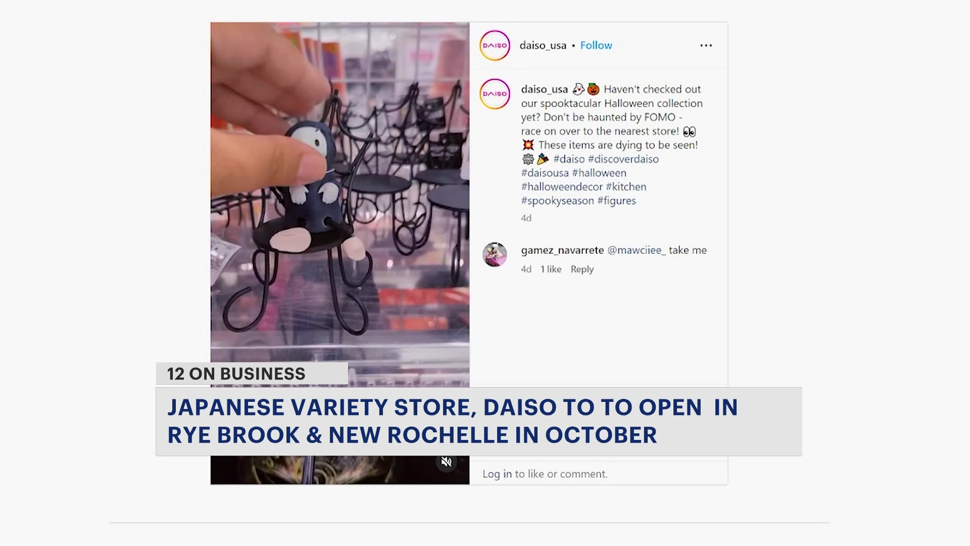 Japanese variety store Daiso to open 2 more Westchester locations in ...