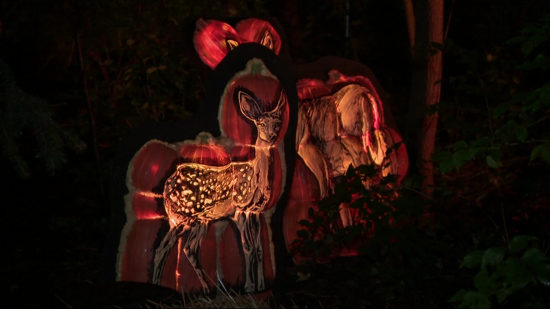 New spooky exhibit now on display at the Bronx Zoo