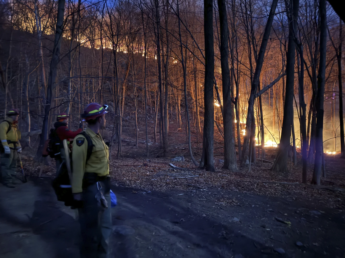 FDNY launches task force to tackle 'historic' increase in brush fires