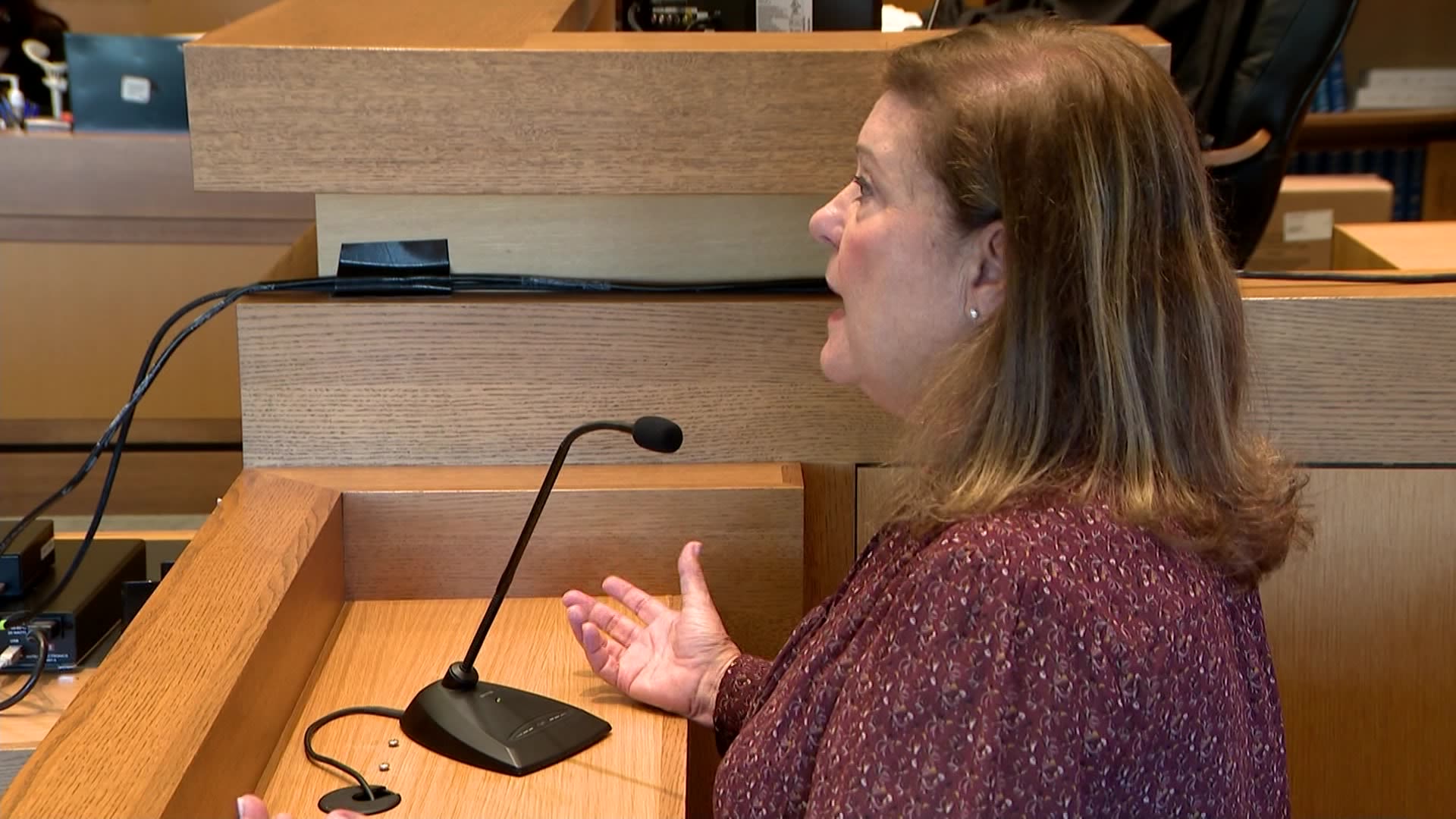 Michelle Troconis’ mother testifies at hearing about police search in ...