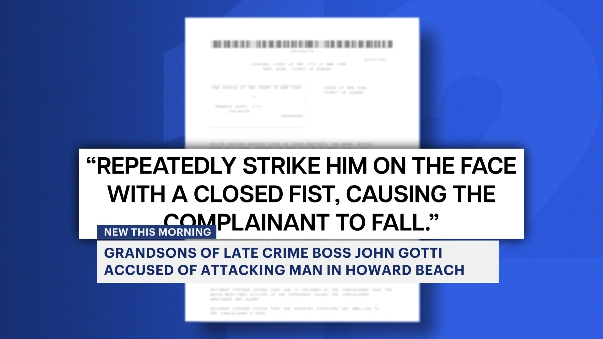 News 12 | Westchester | Grandsons Of Late Crime Boss John Gotti Accused ...
