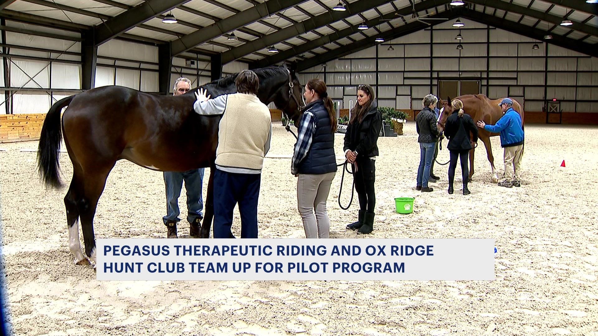Pegasus Therapeutic Riding and Ox Ridge Hunt Club launch pilot program