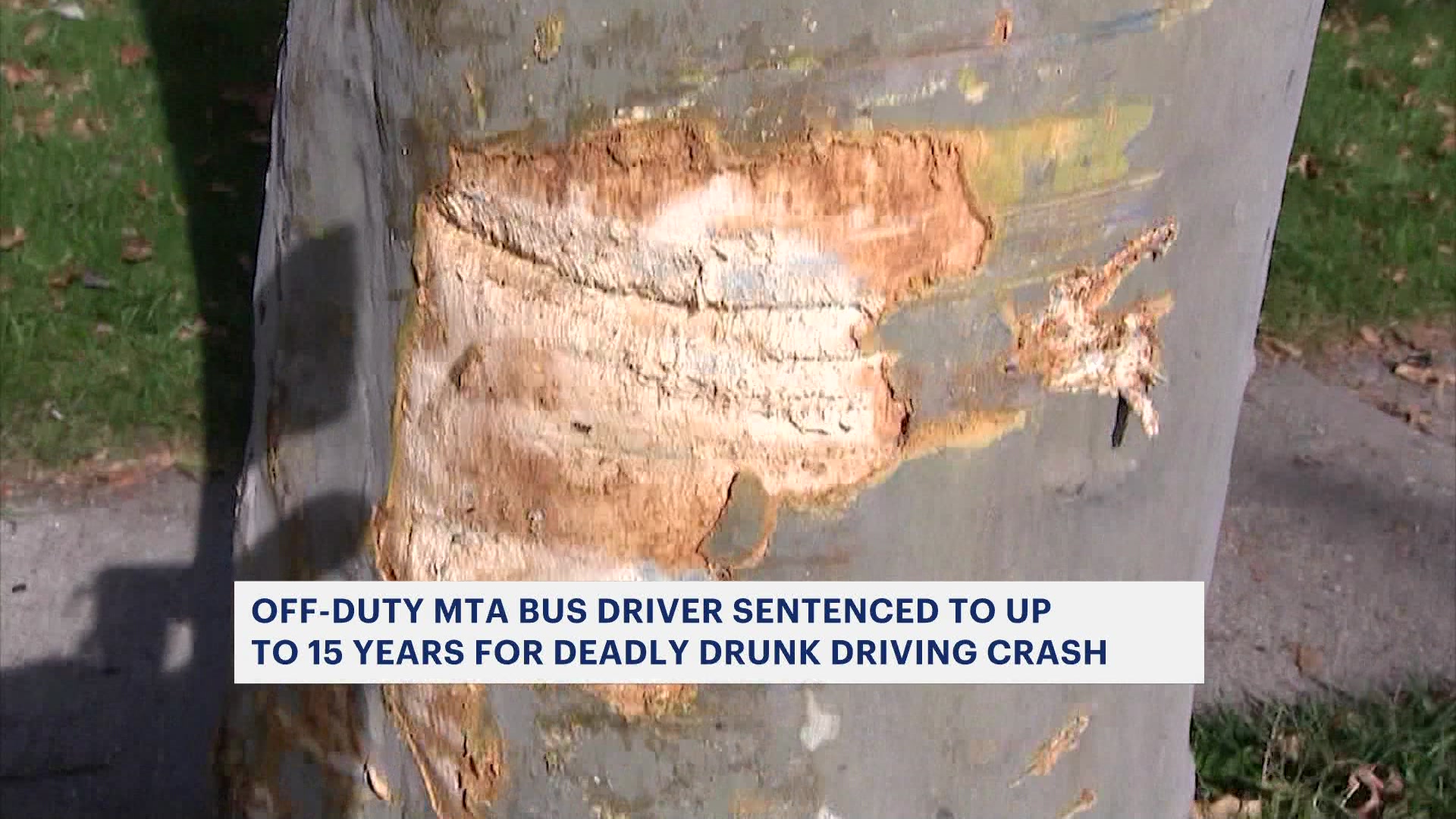 Off-duty MTA bus driver sentenced to up to 15 years in prison for ...