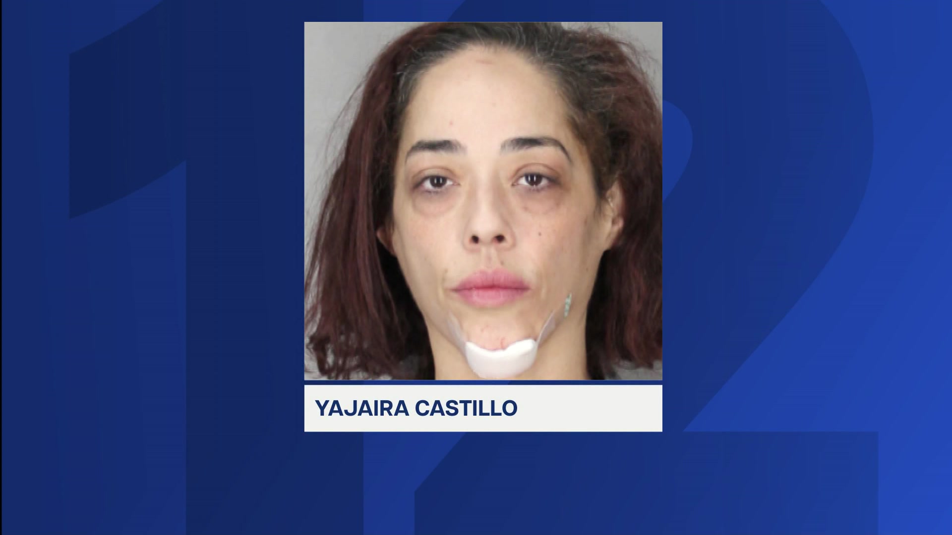News 12 | Brooklyn | Police Inwood Woman Arrested For Dwi With 2 Year ...