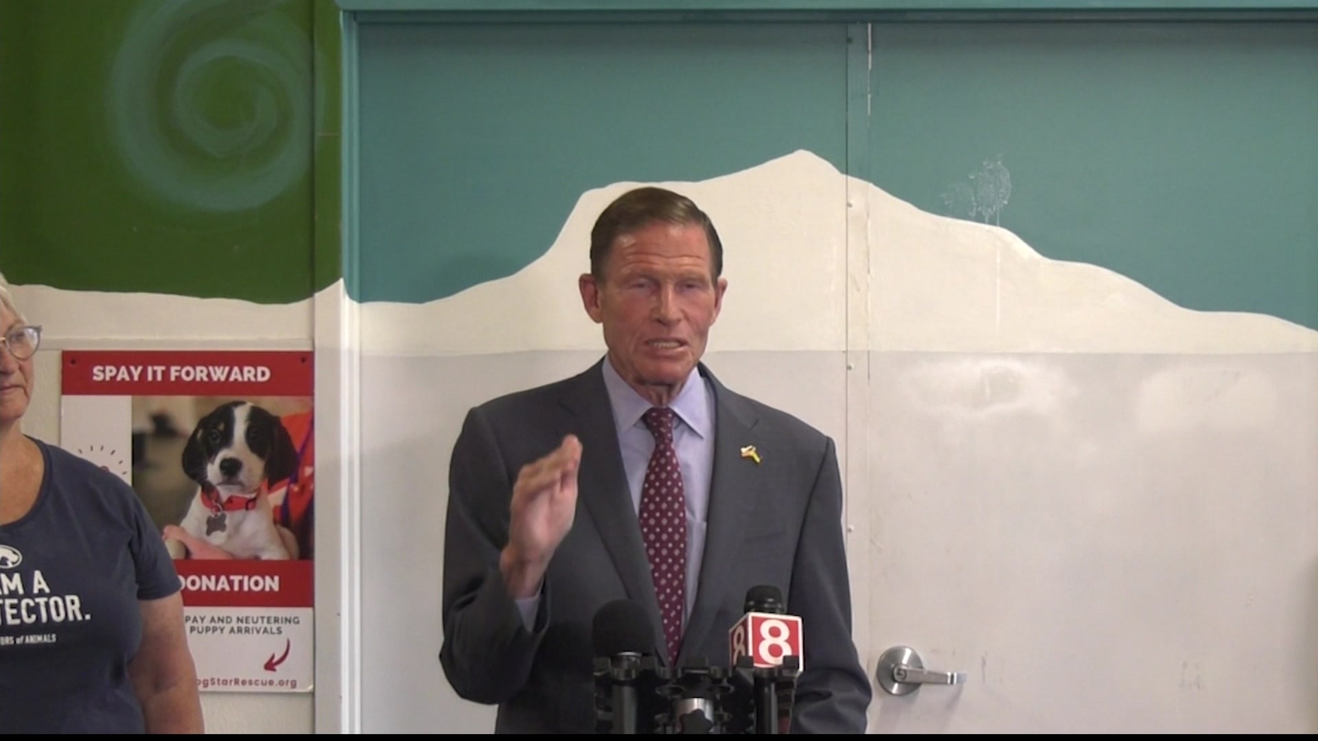 News 12 | Connecticut | Sen Blumenthal Proposes 2 Bills Against Animal ...