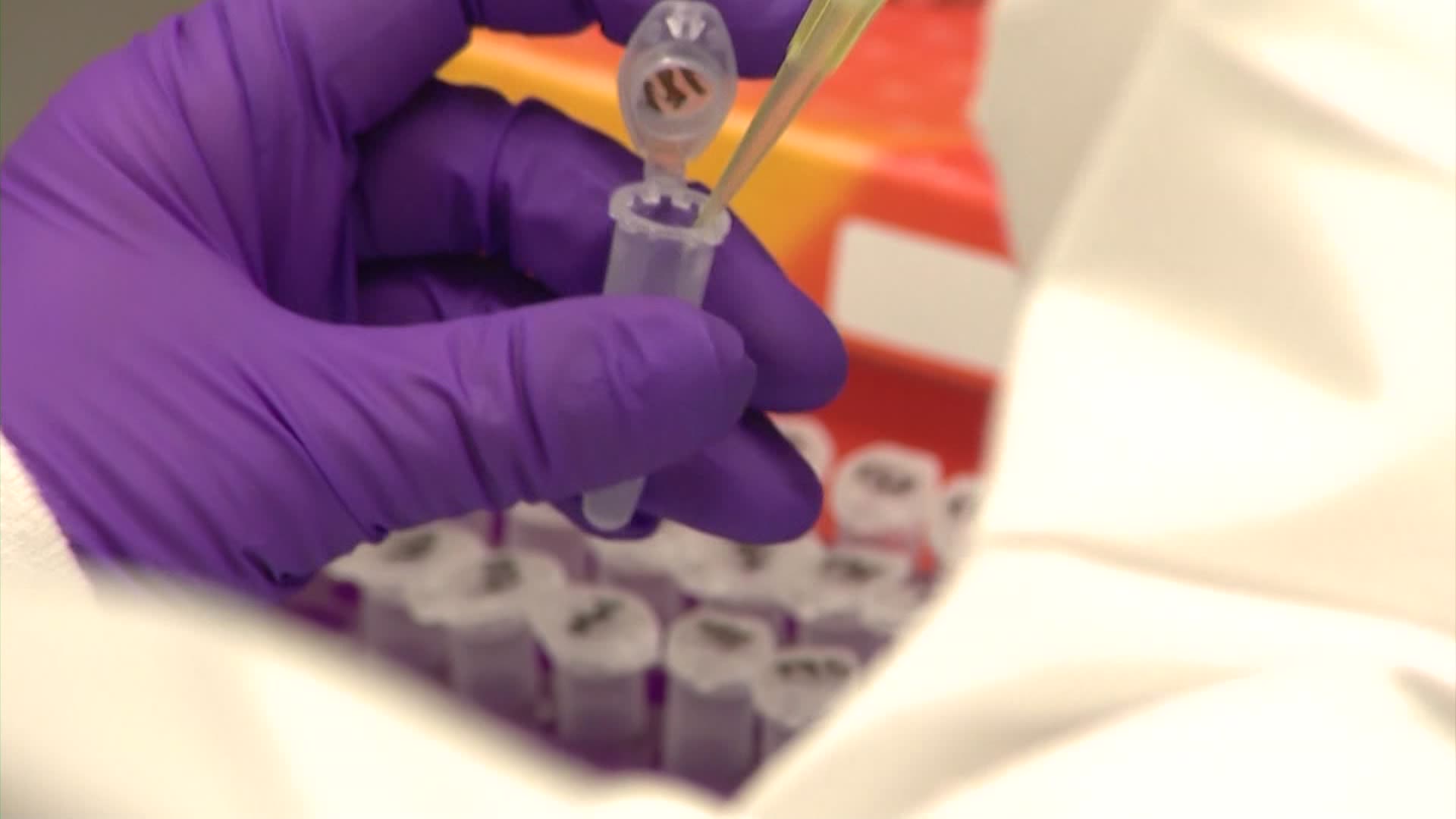 Residents learn about possible cancer-causing pollutant in LI drinking ...