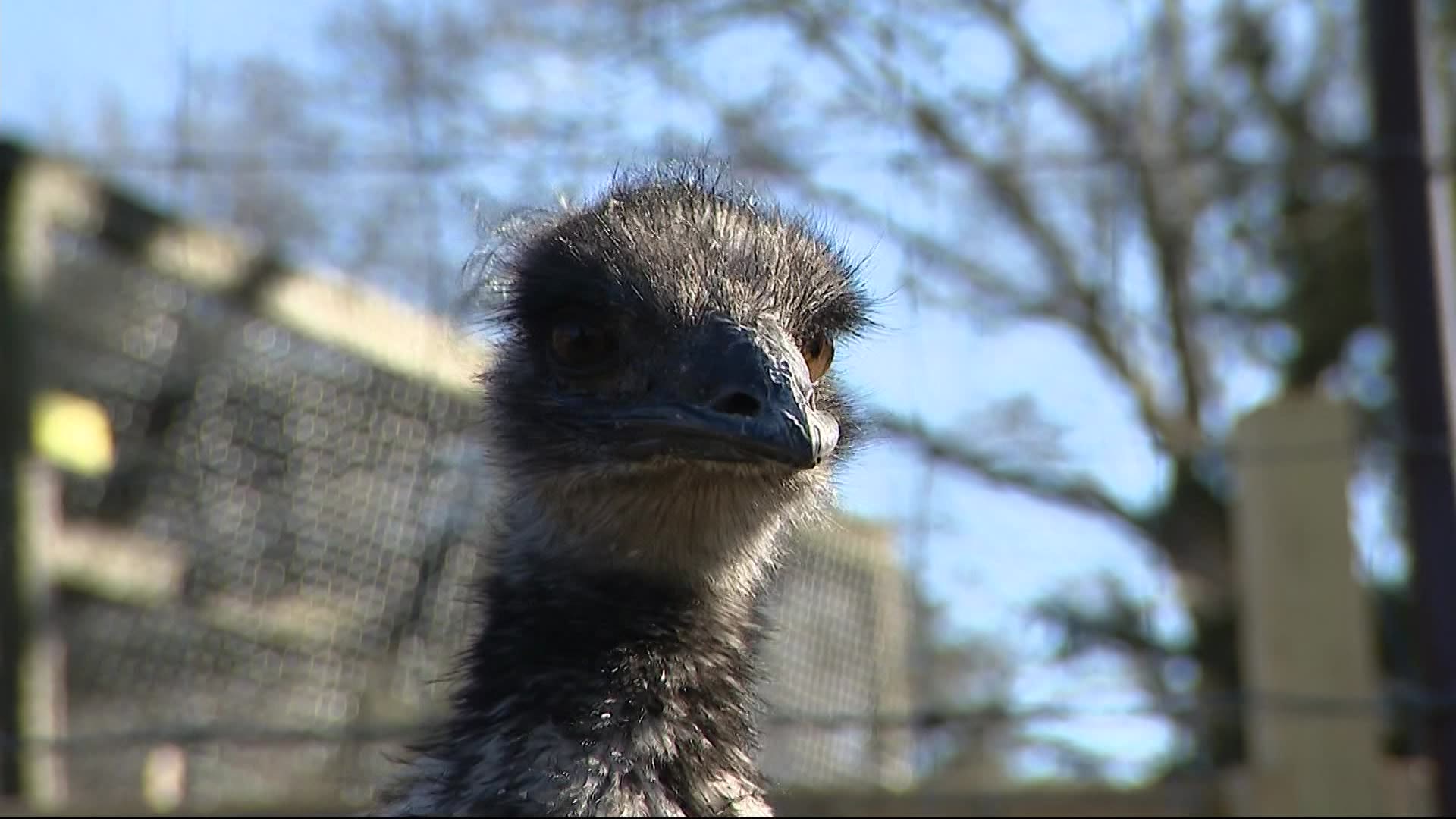 East End: Long Island Game Farm