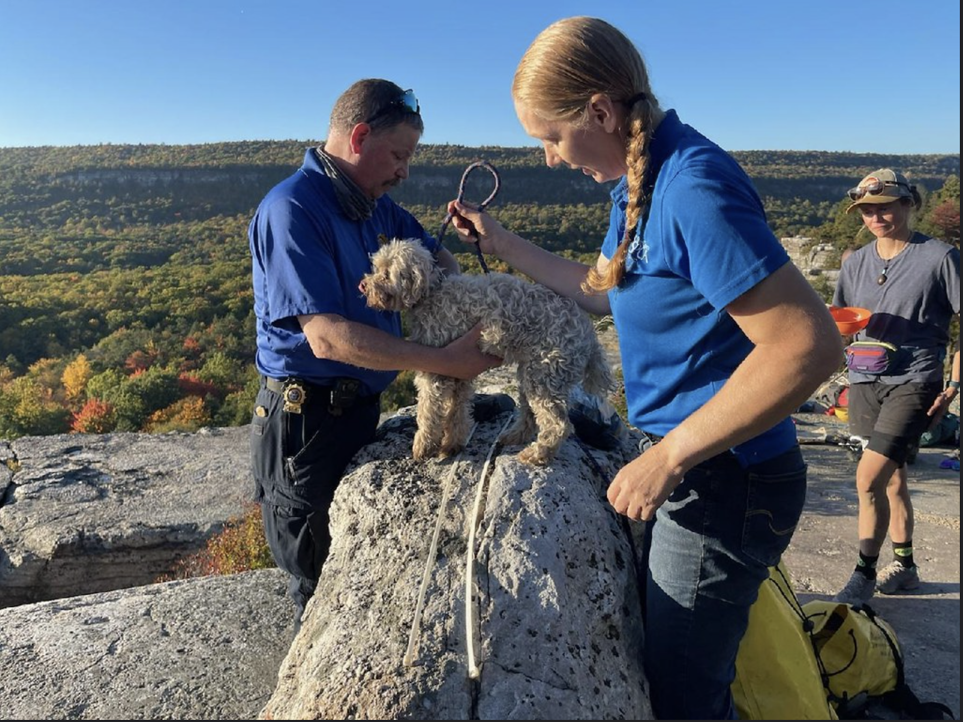 News 12 | New Jersey | Lucky Dog Pooch Trapped In Crevice 5 Days ...