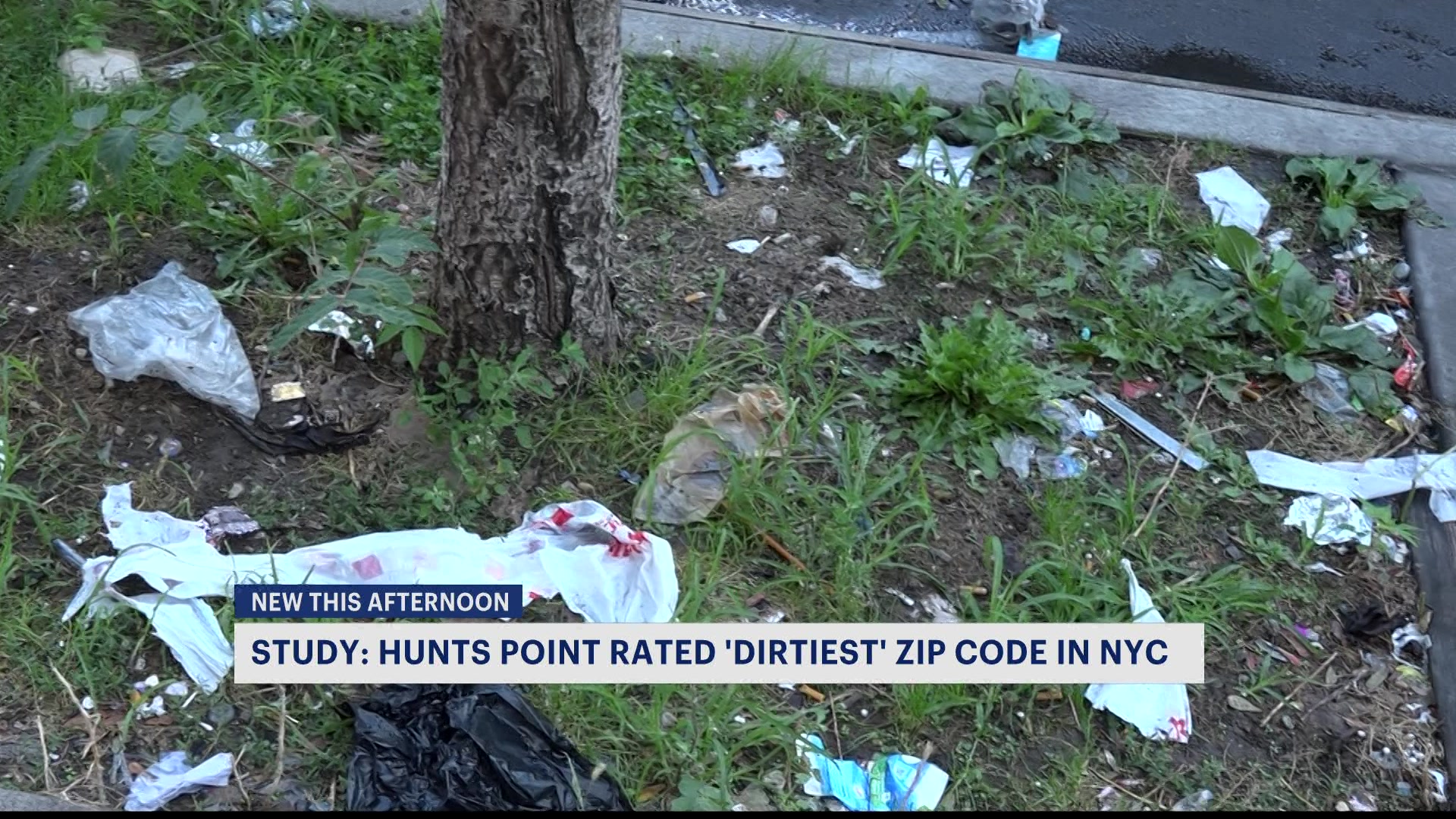 House Fresh: Hunts Point section in the Bronx is one of the dirtiest ...