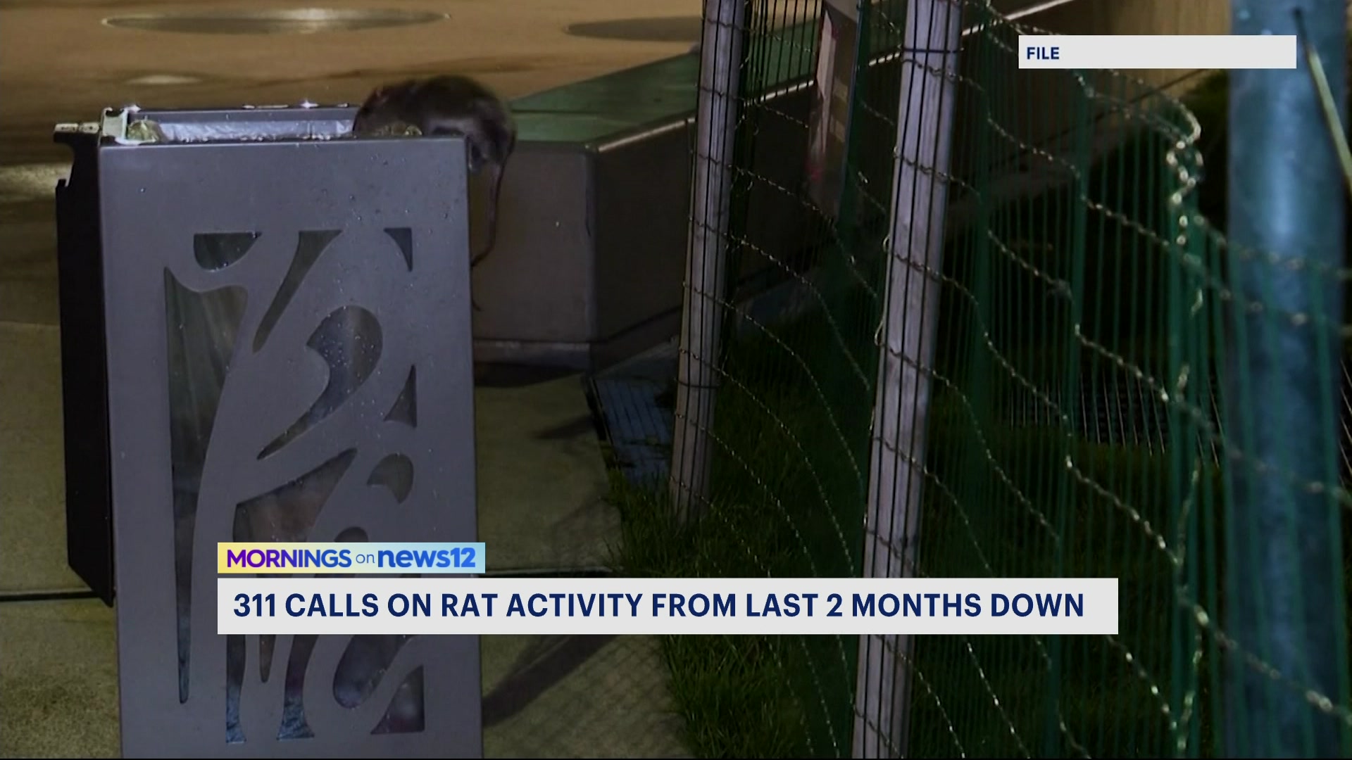 Mayor Adams: 311 calls on rat activity decreased by 20%
