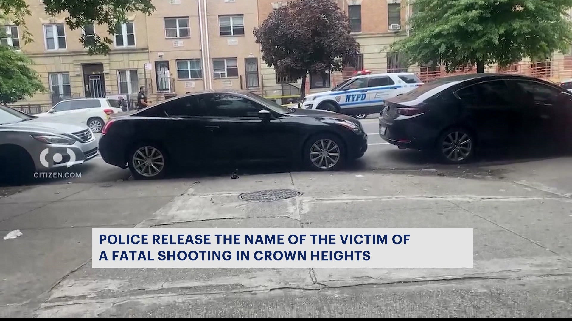 News 12 | Brooklyn | Nypd 37 Year Old Man Killed In Crown Heights Shooting