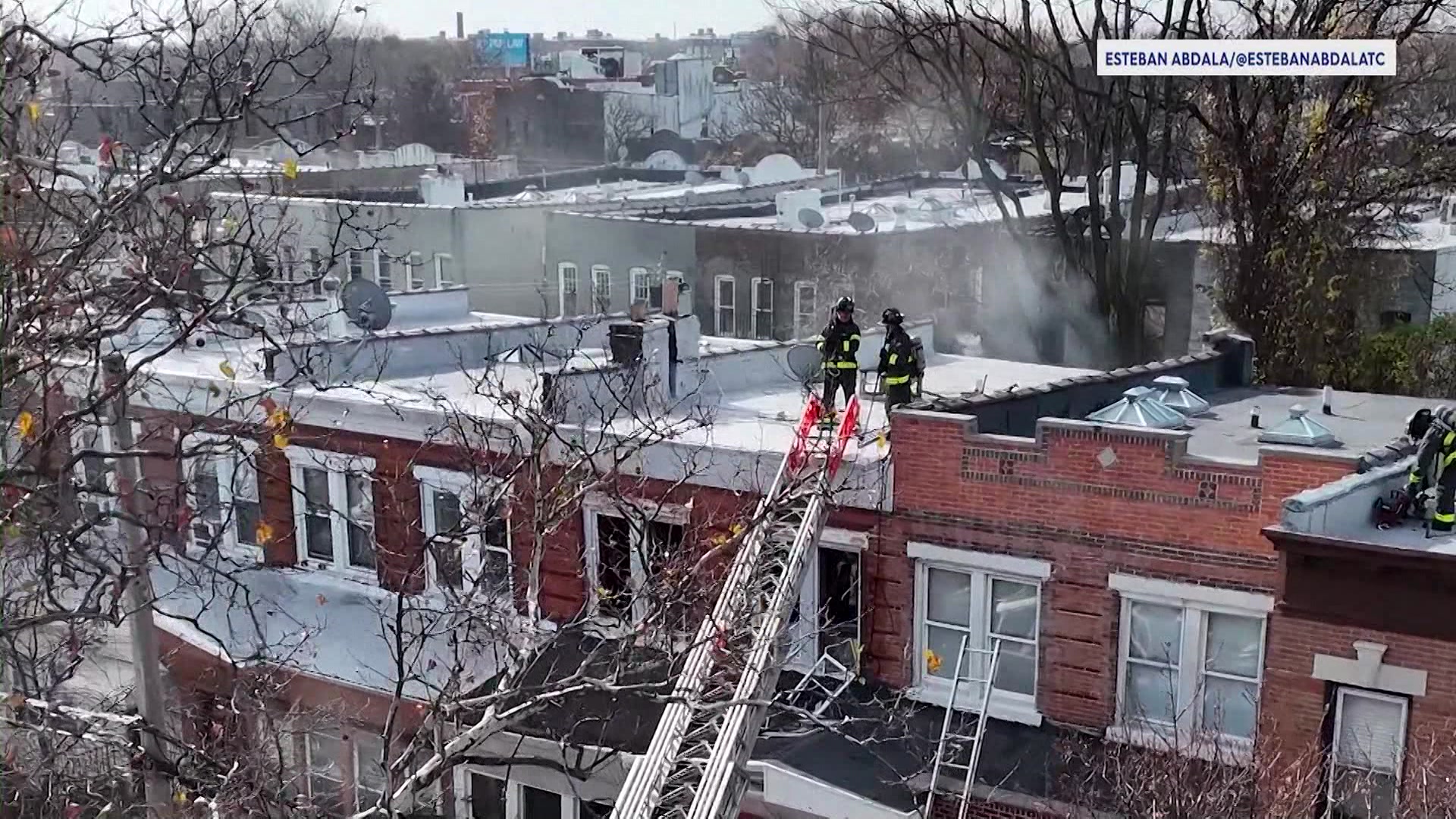 Fire rips through East New York home; 3 dogs rescued