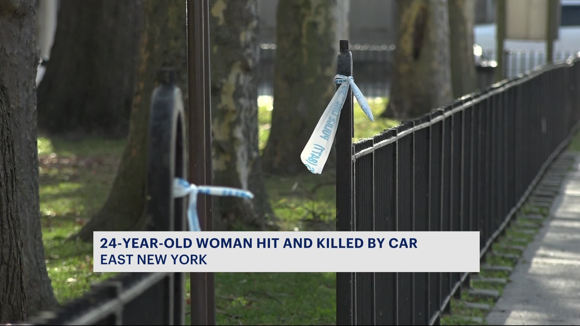 Sources: 24-year-old woman fatally struck by car in domestic case Sources: 24-year-old woman fatally struck by car in domestic case