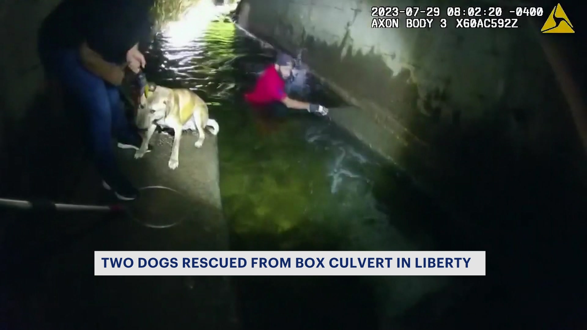 Heroic police officers rescue trapped dogs in Village of Liberty