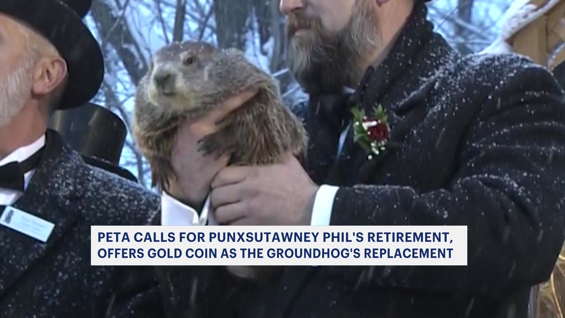 PETA calls for Punxsutawney Phil’s retirement, offers gold coin as ...