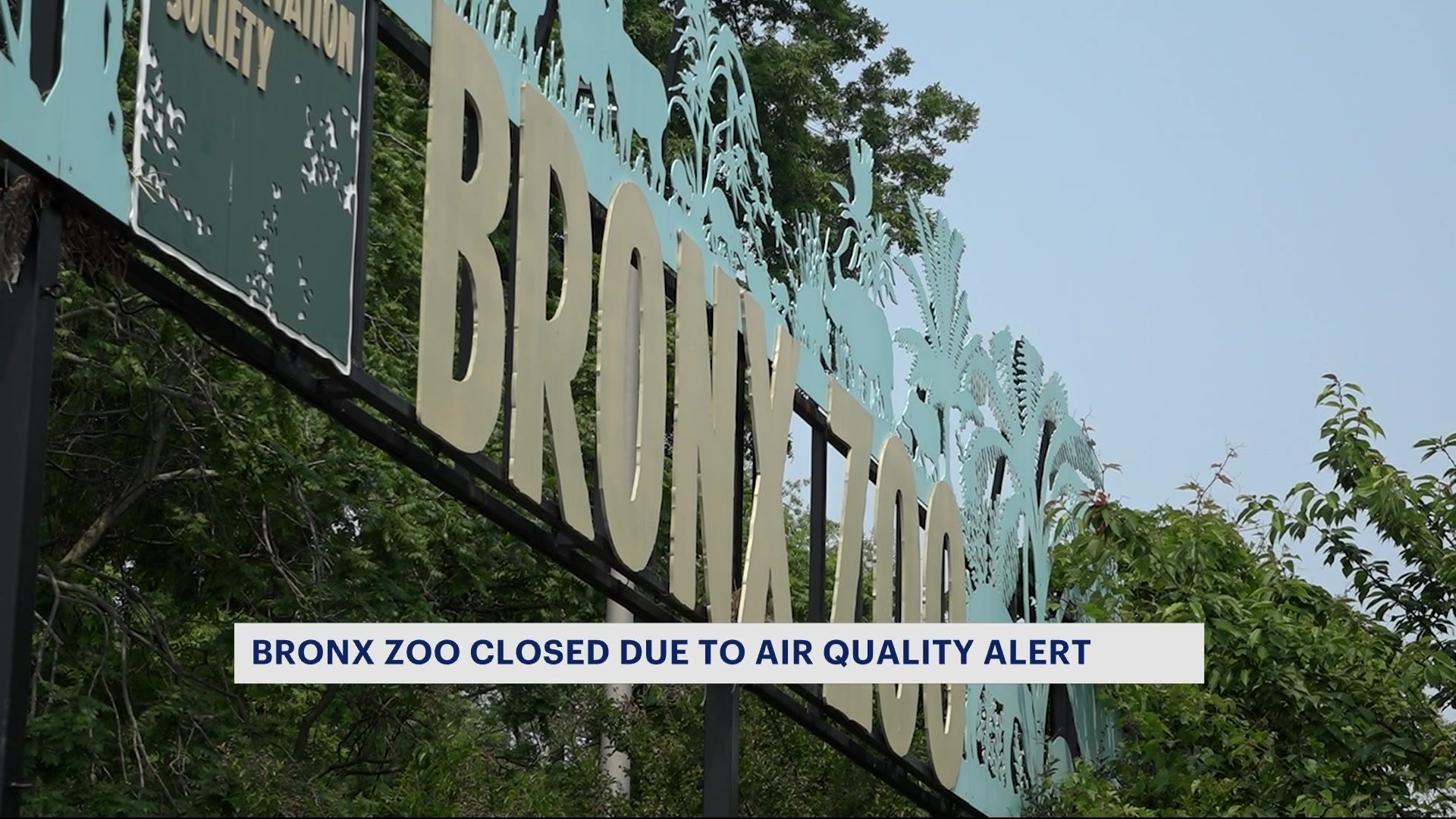 News 12 | Brooklyn | Bronx Zoo Shuts Its Doors Due To Air Quality Concerns