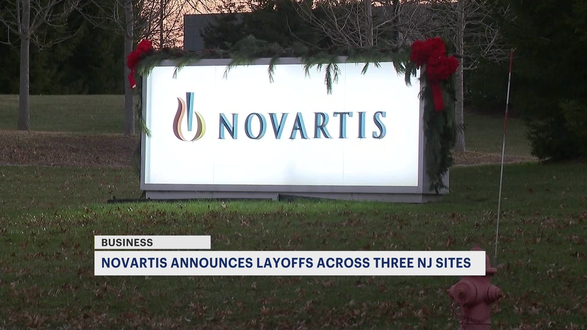 Hundreds of layoffs expected at Morris County-based pharmaceutical ...