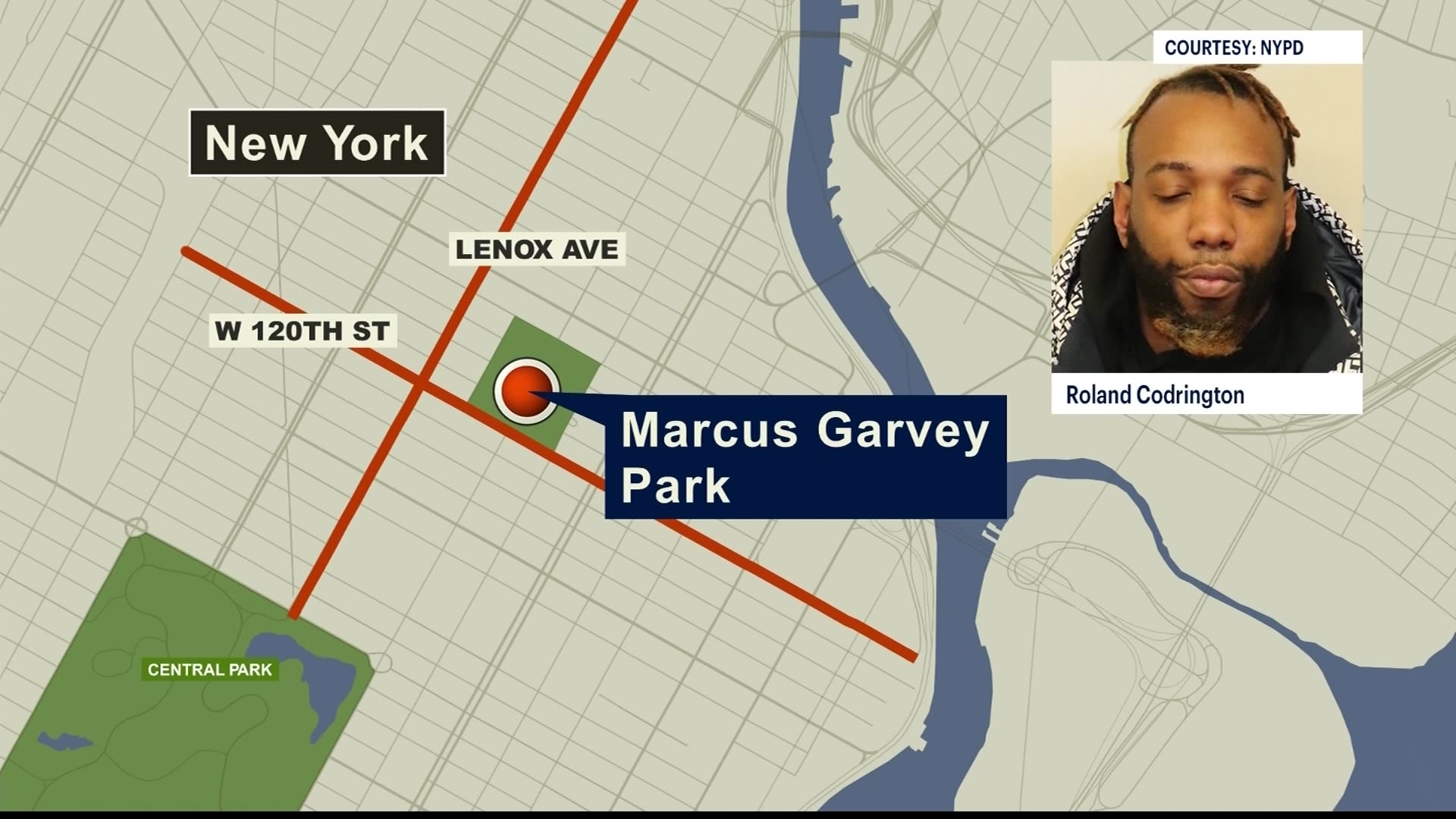 NYPD: Suspect arrested for fatal stabbing of Rockland doctor, slew of ...