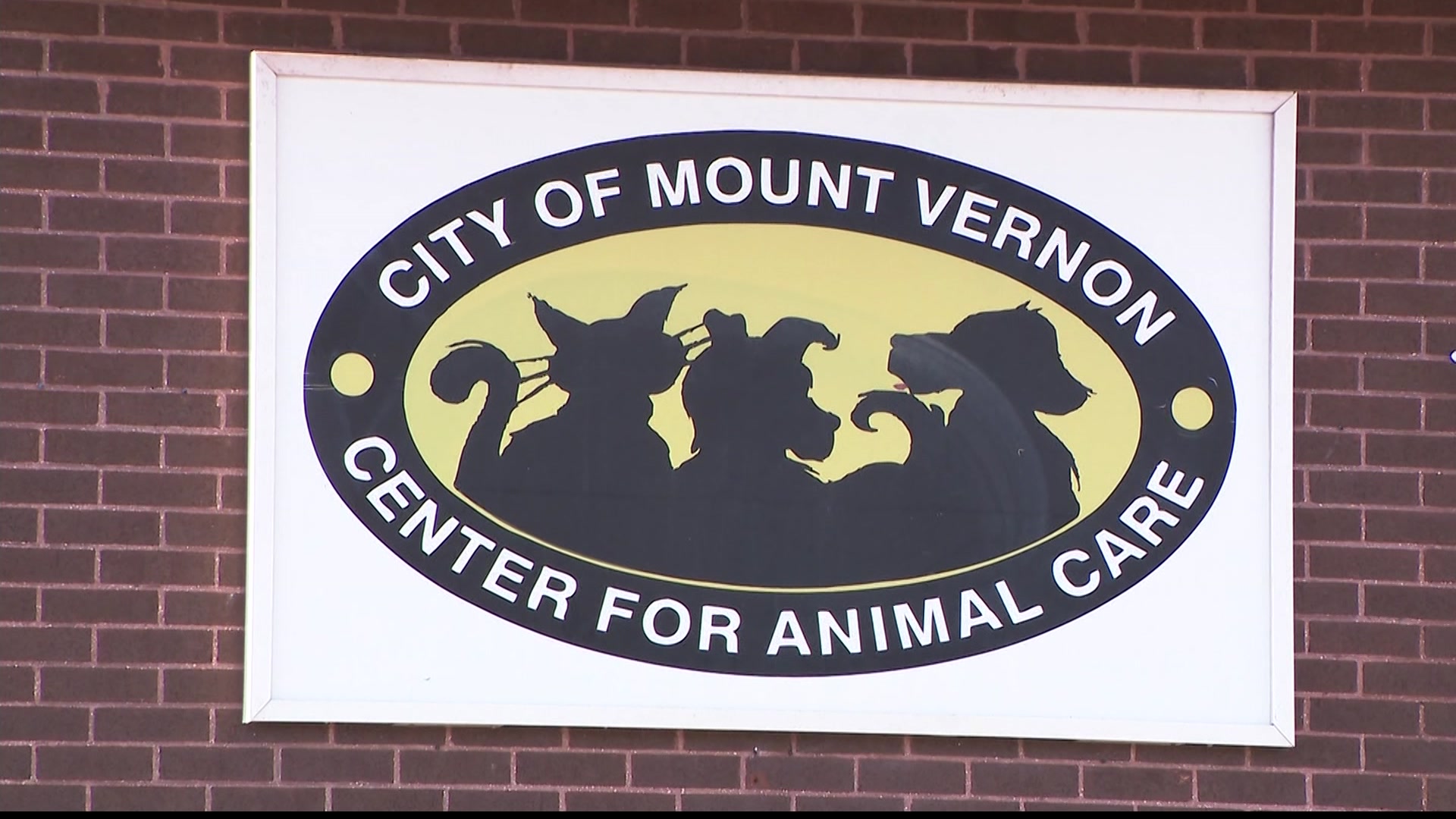 Mount Vernon Animal Shelter adopting out animals by appointment only ...
