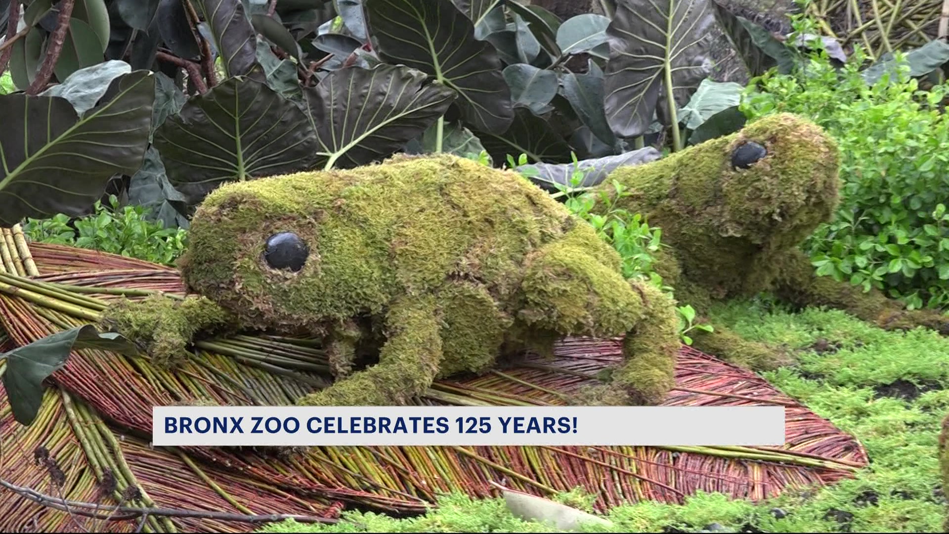 Bronx Zoo celebrates 125 years of bringing joy to New Yorkers