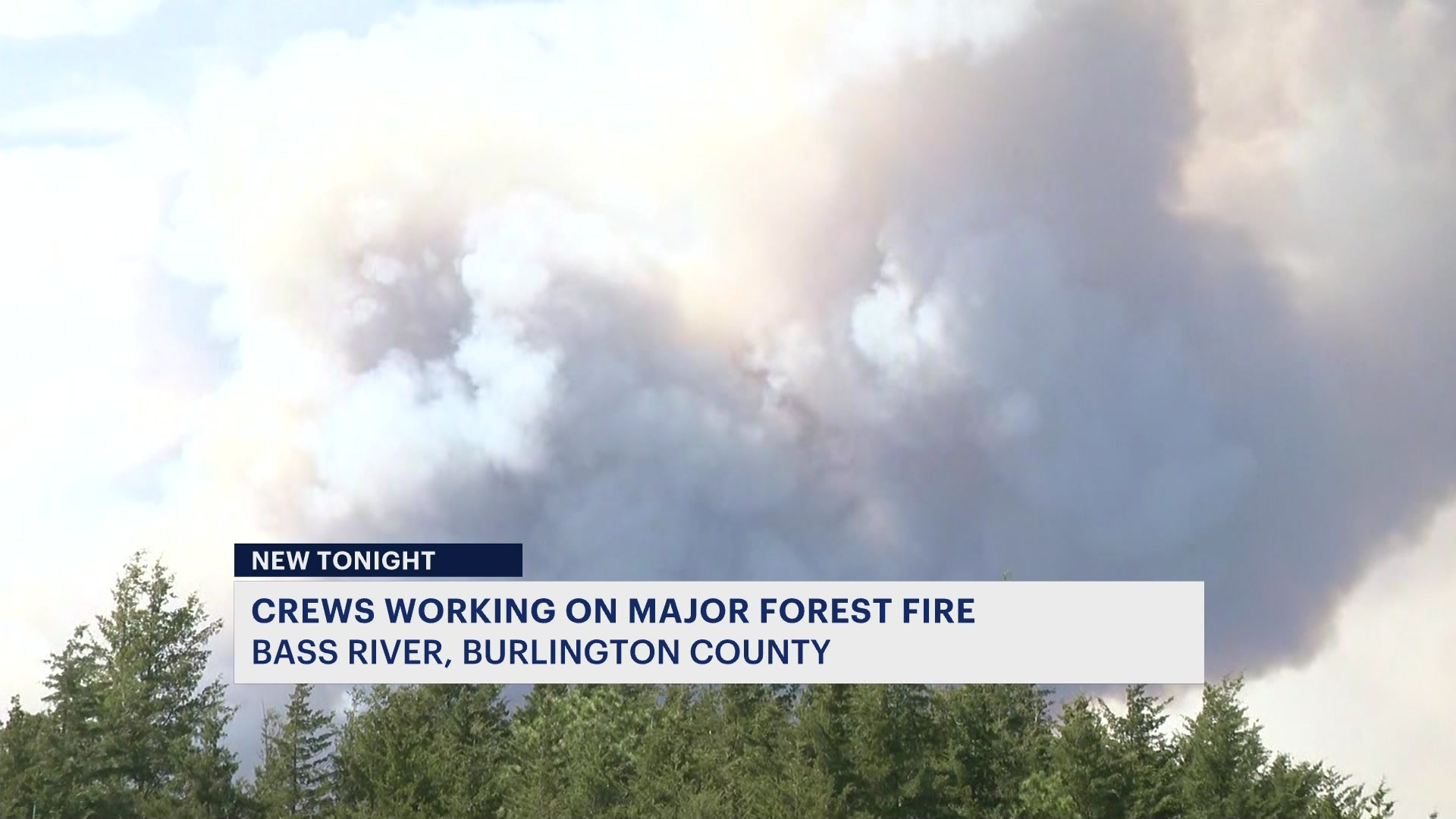 Officials: Wildfire erupts in Bass River State Forest in Little Egg ...
