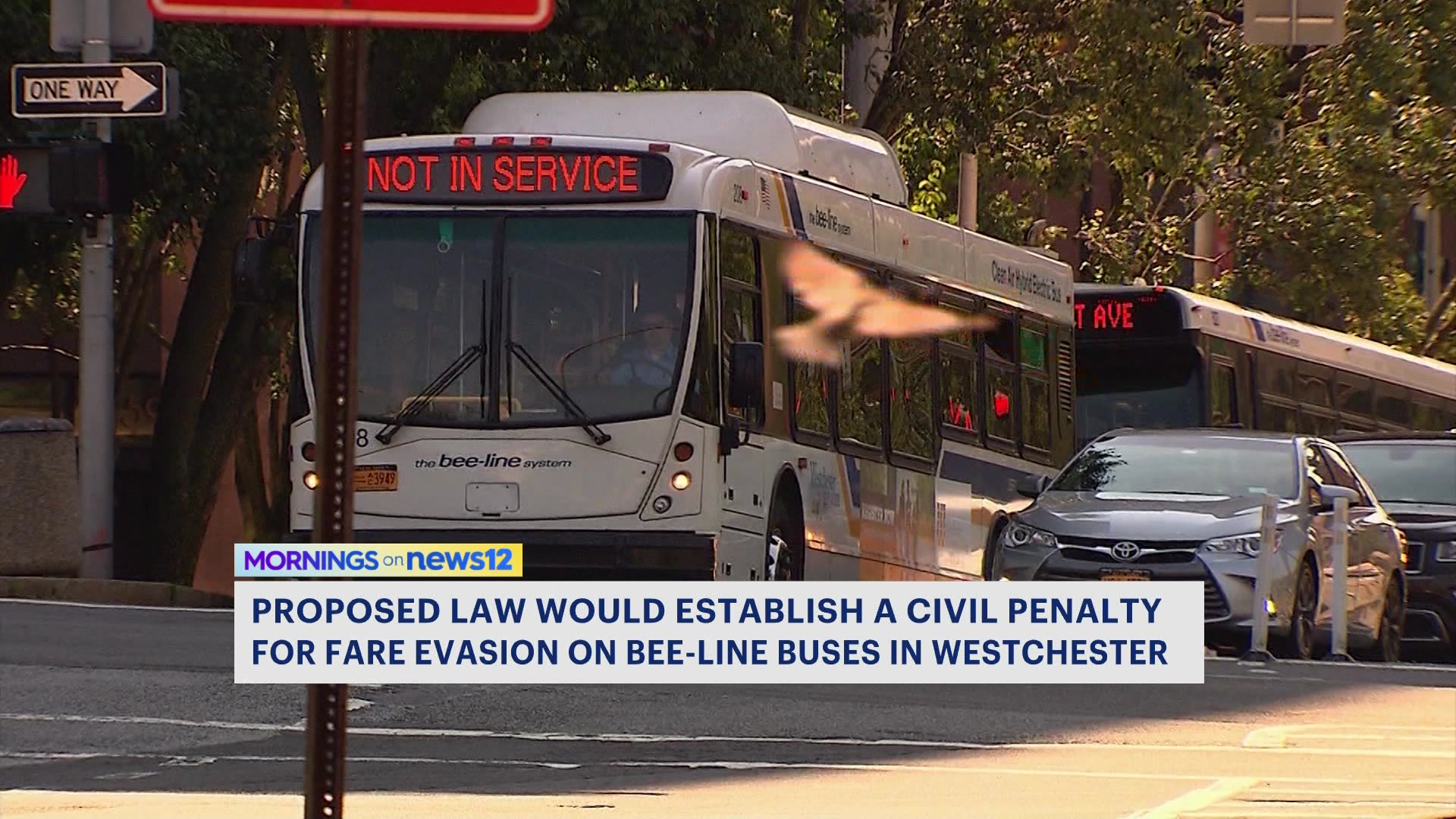 Westchester County lawmakers consider legislation to address Bee-Line ...