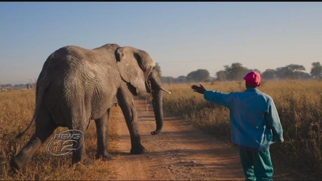 News 12 | Long Island | Rocklandbased Soldiers For Wildlife Group Takes ...