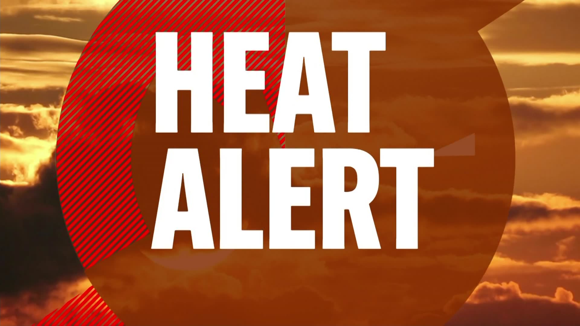 ‘Wet heat’ puts public health at risk