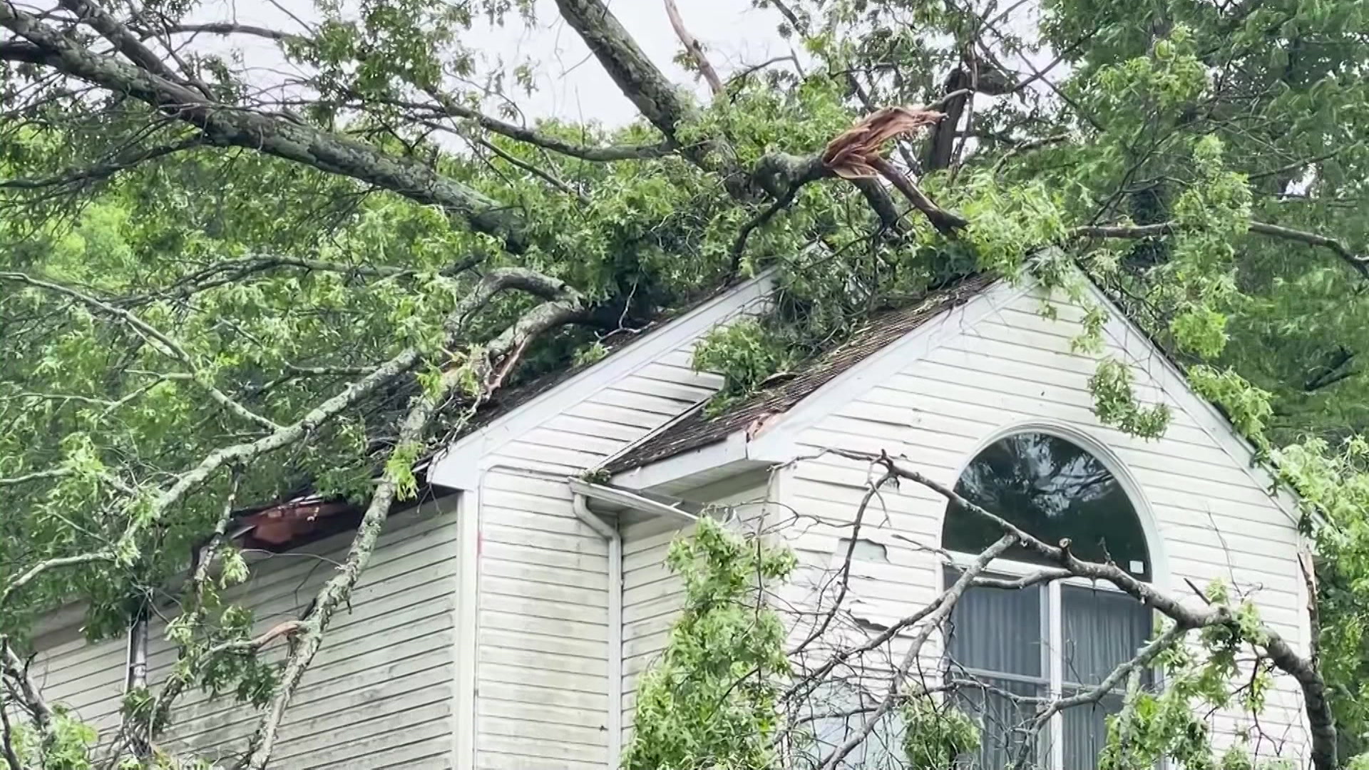 Fallen trees cause widespread damage as powerful storm tears through ...