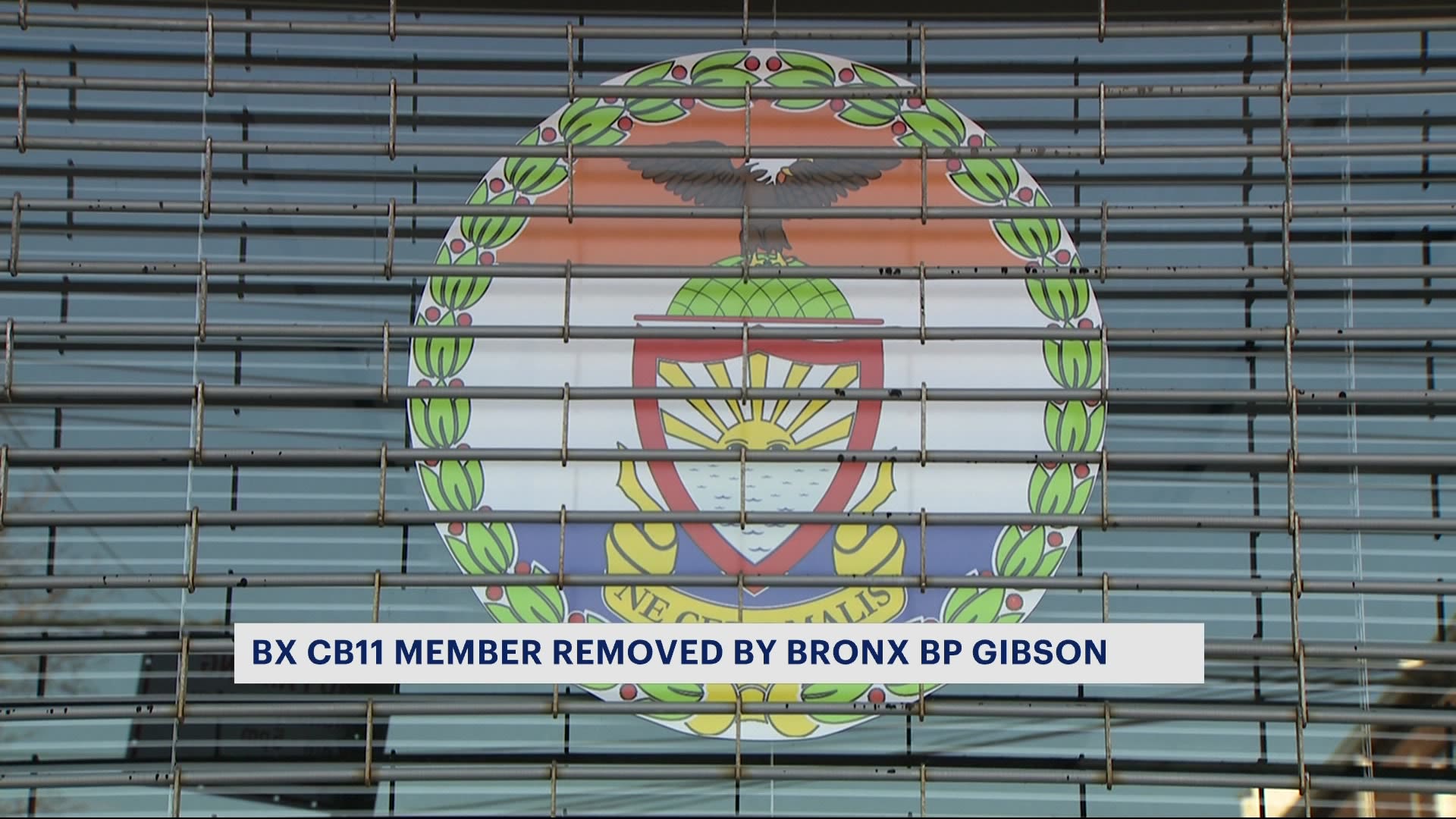 Former Community Board member speaks with News 12 on his removal for ...