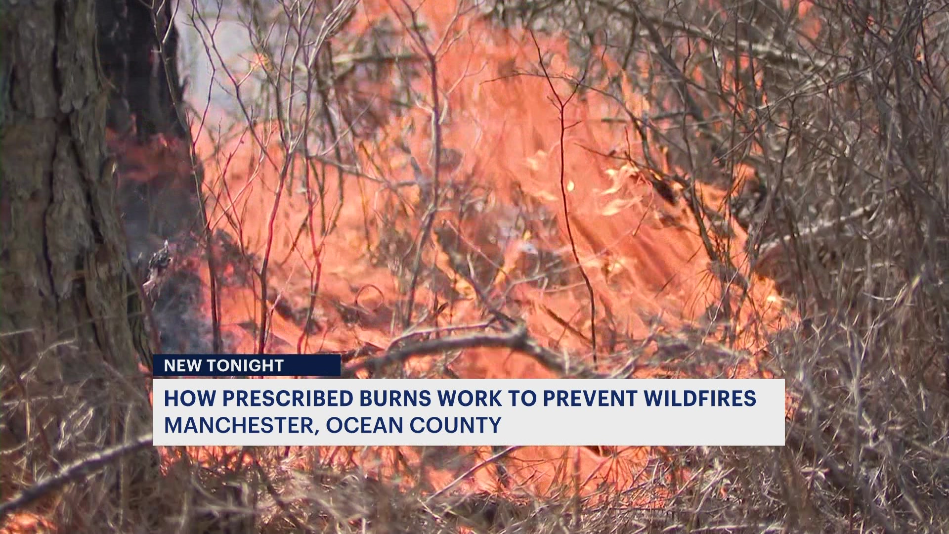 State Forest Fire Services prepares for wildfire season with prescribed ...