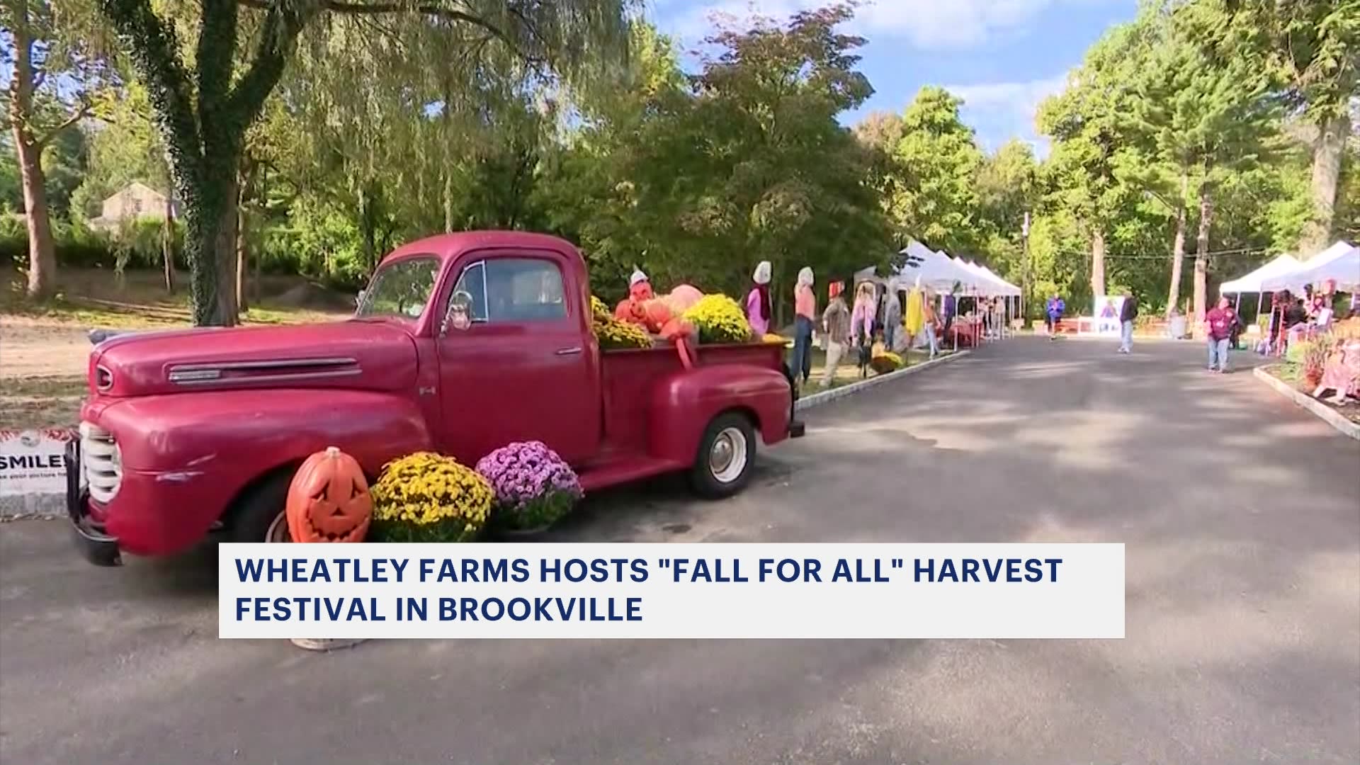 Wheatley Farms celebrates Fall For All Harvest Festival