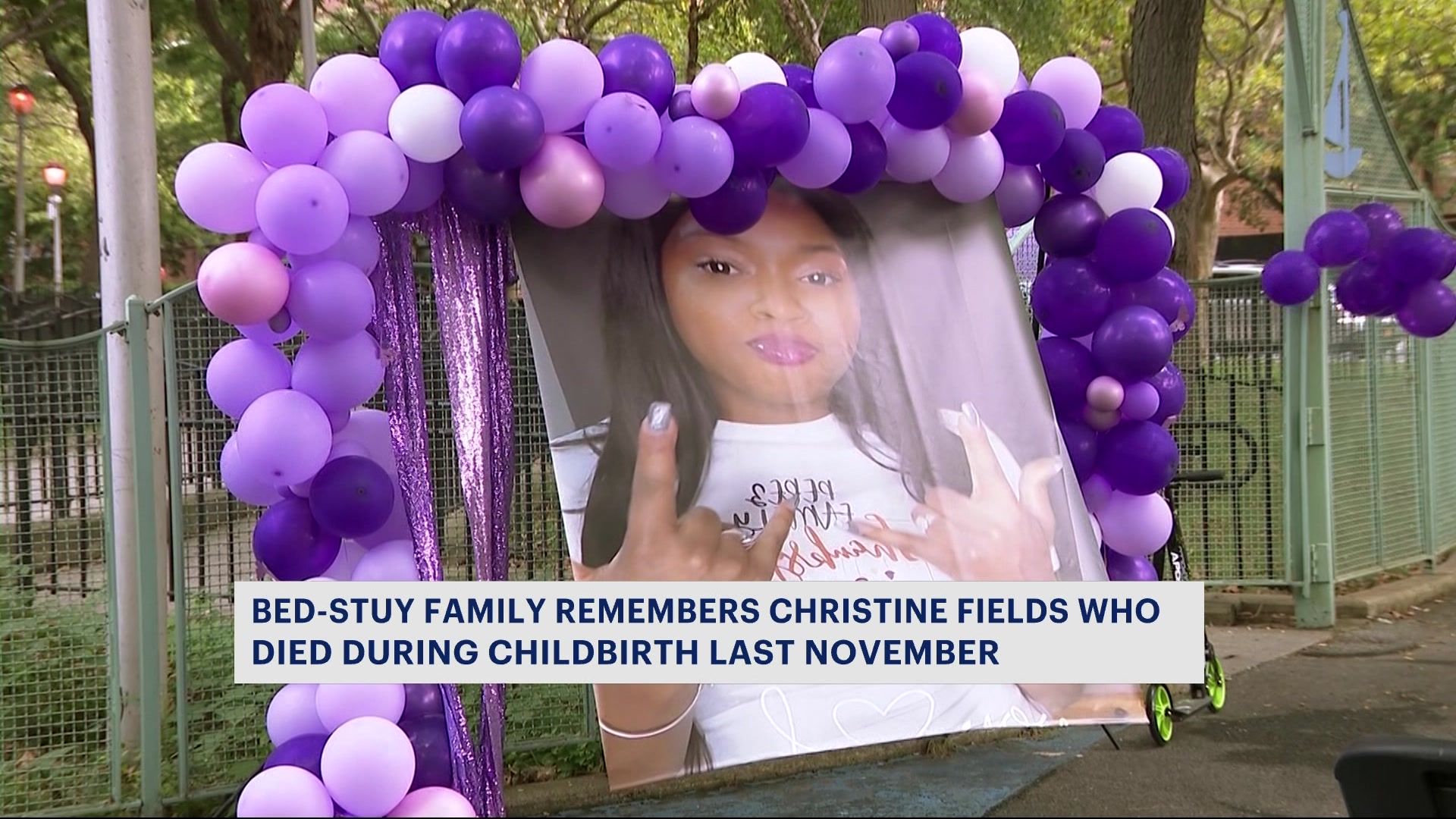Bed-Stuy family remembers Christine Fields who died during childbirth ...