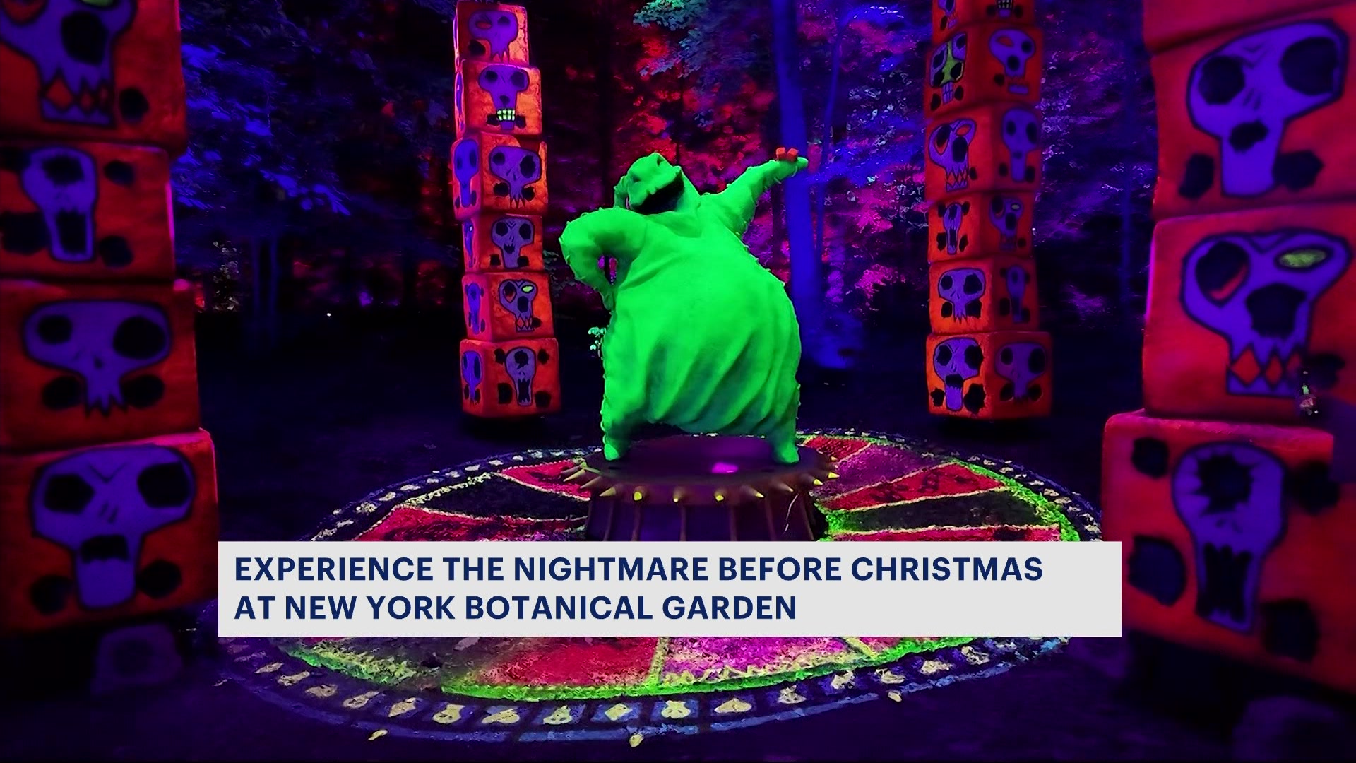 News 12 | The Bronx | Nightmare Before Christmas debuts at New York ...