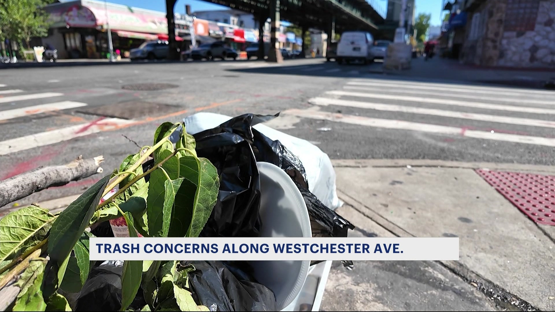 Street litter irks residents along Westchester Avenue
