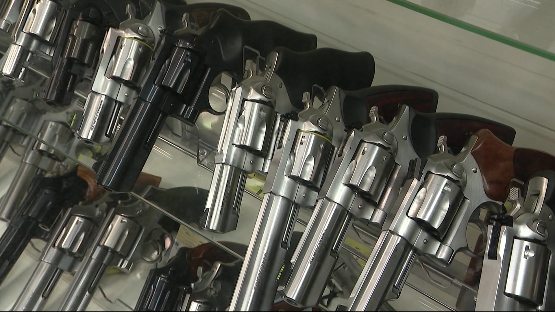 News 12 | Long Island | New Gun Laws Go Into Effect Across State Gun ...