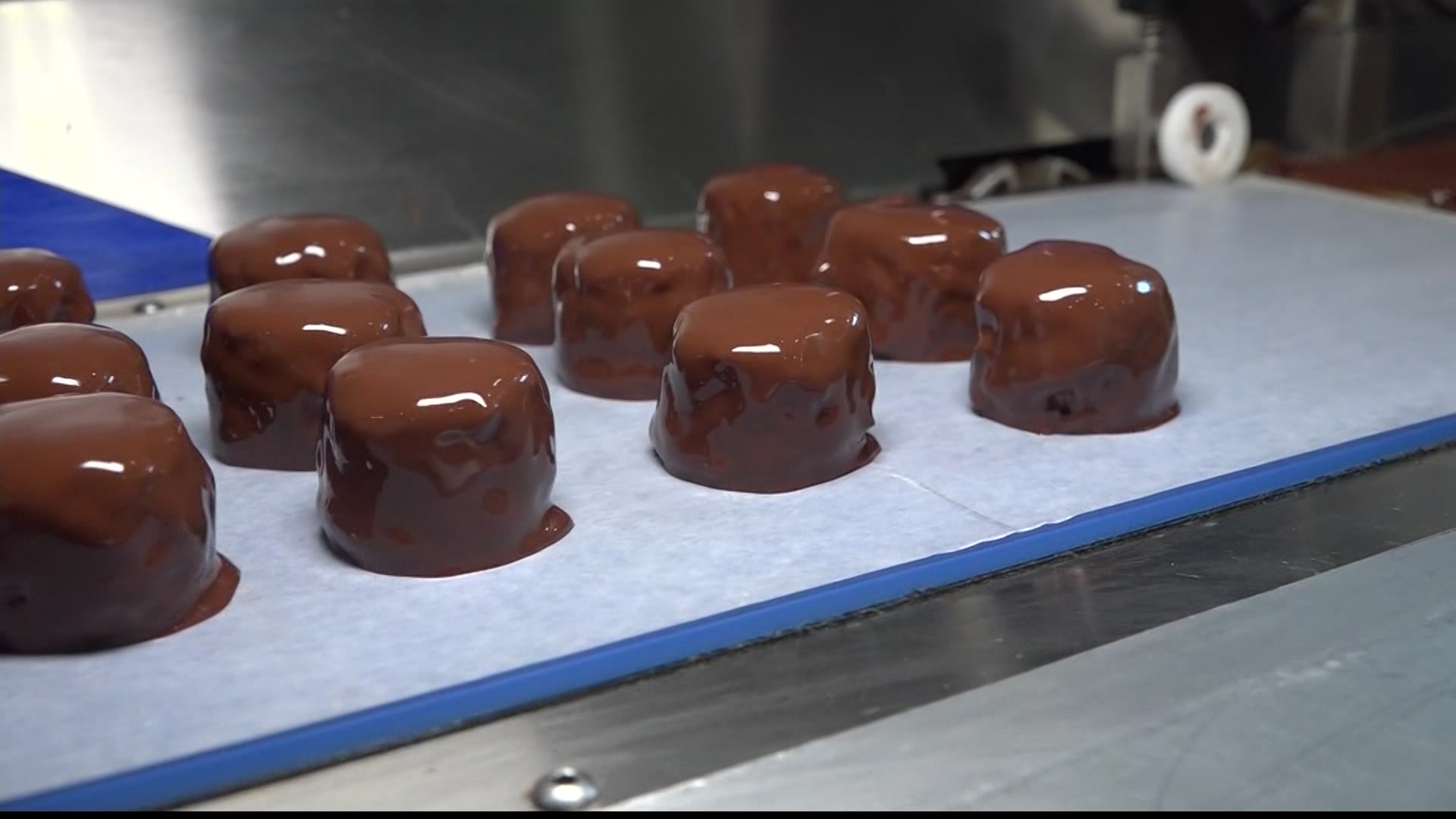 News 12 | Bronx | We Re Open Michelles Maccs In Hunts Point