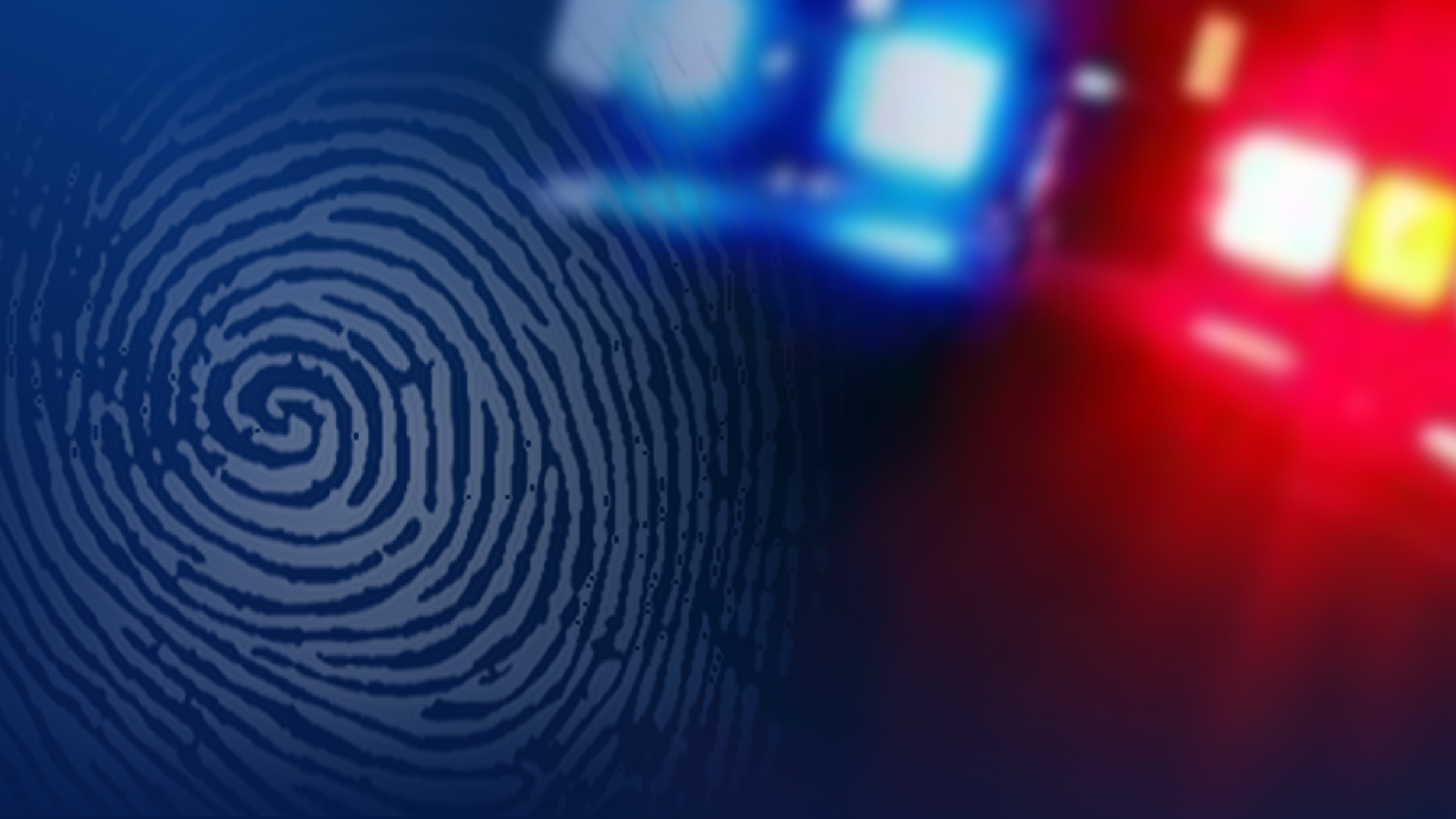 Police: DWI suspect assaults 2 officers in Valley Stream