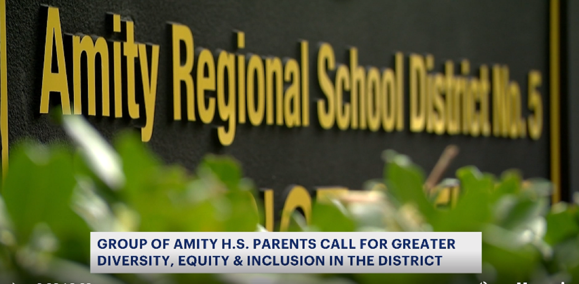 Group of parents calls for more diversity, inclusion at Amity High School