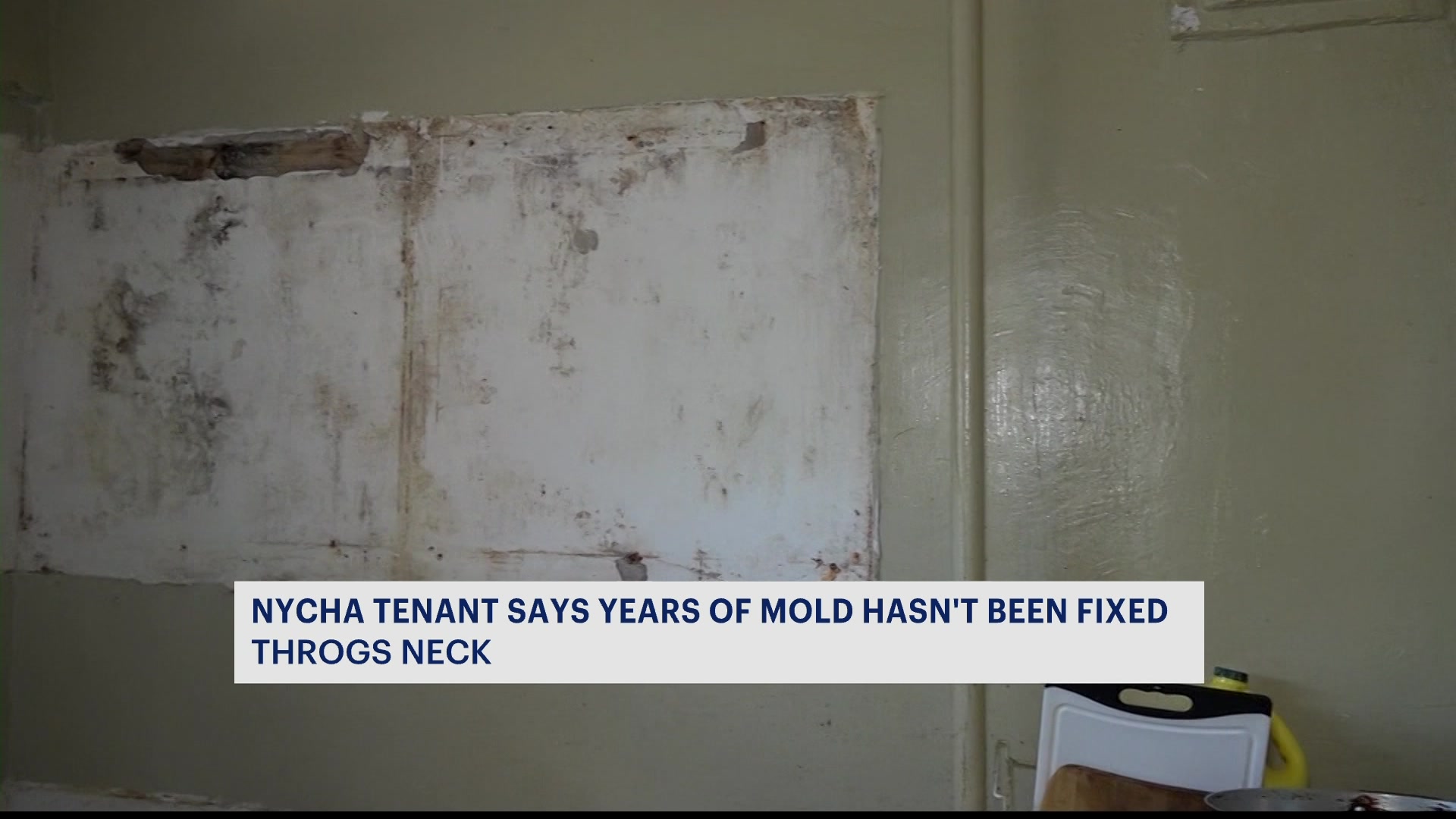 News 12 | Bronx | Bronx Mother Says Yearslong Issues Of Mold Water ...