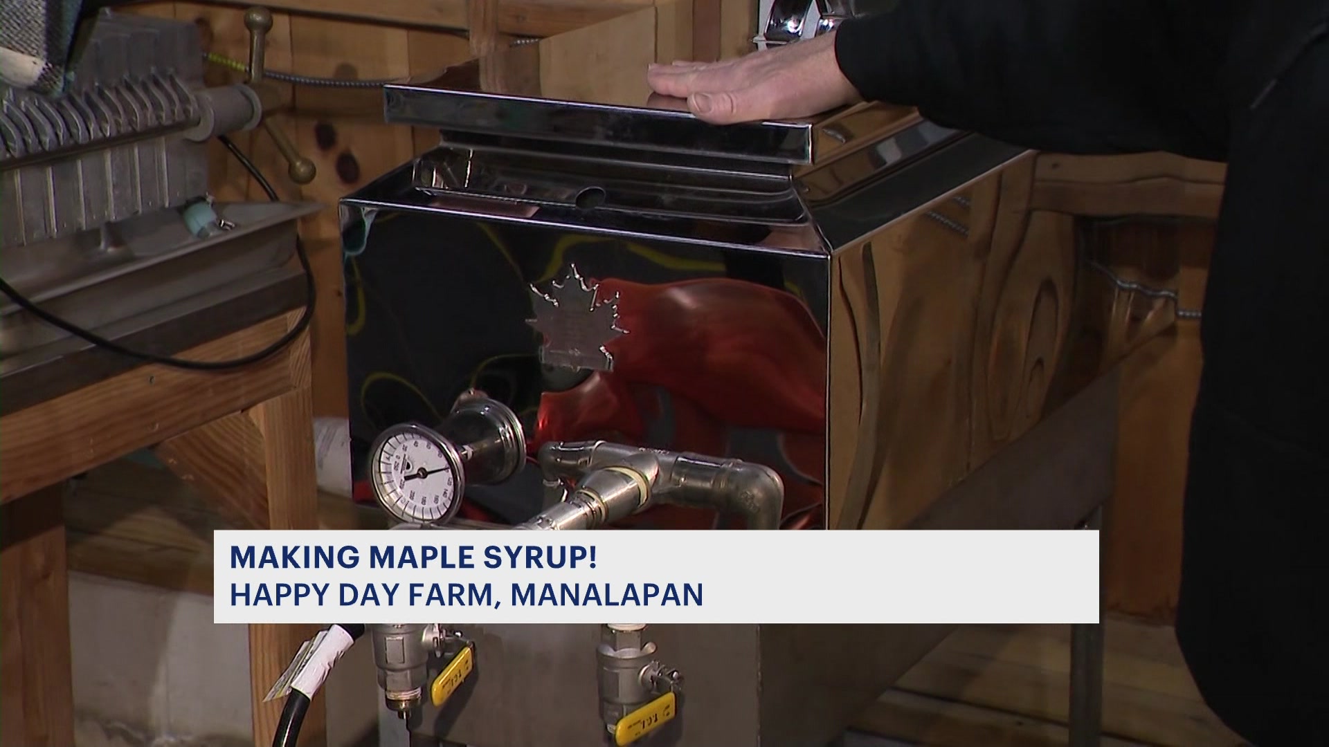 Maple syrup season is here! Happy Day Farm tapping maple trees in ...