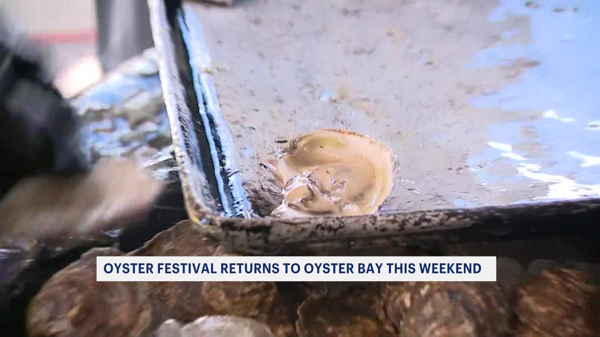 News 12 | Long Island | Oyster Fest returns for 41st year in Oyster Bay