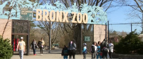 News 12 | Brooklyn | Families Celebrate Easter With Trip To Bronx Zoo