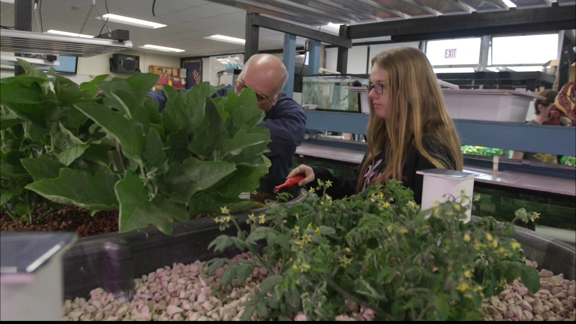 Wantagh Middle School students use new technology to grow food