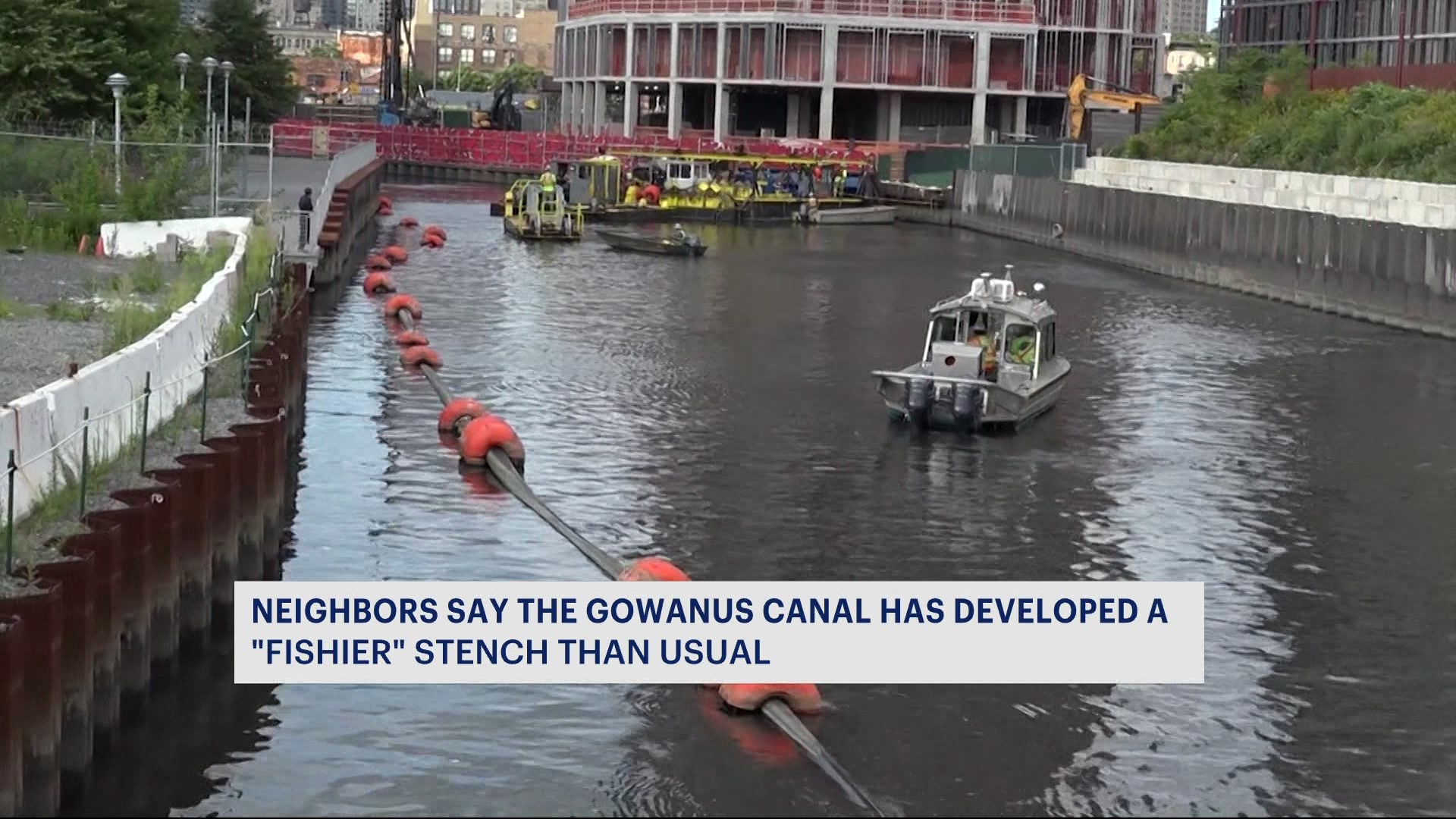 News 12 | Westchester | I Saw So Many Dead Fish Gowanus Residents ...