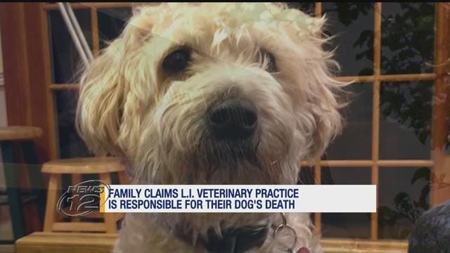 News 12 | Long Island | Li Family Blames Plainview Vet For Death Of ...