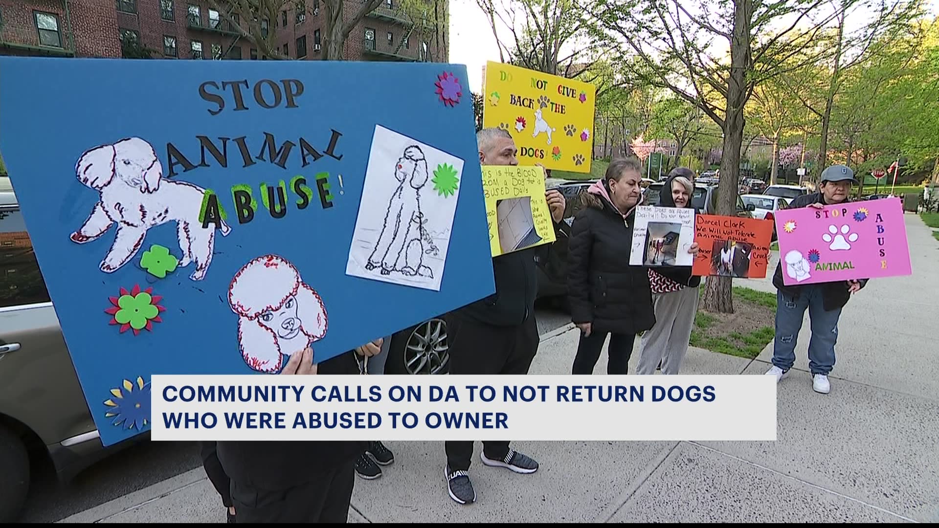 New petition gets over 17,000 signatures after on-camera animal abuse ...