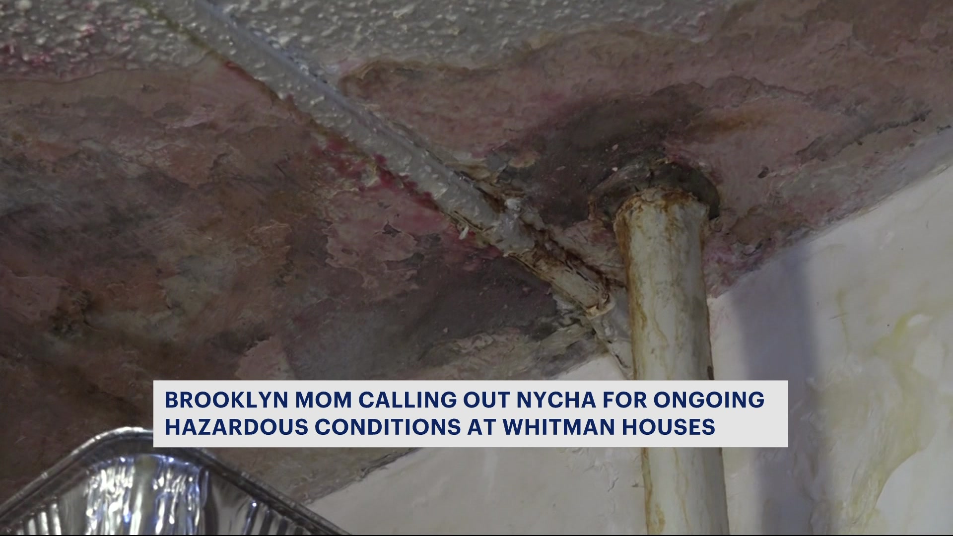 News 12 | Brooklyn | Brooklyn Mother Says Nycha Apartments Conditions ...